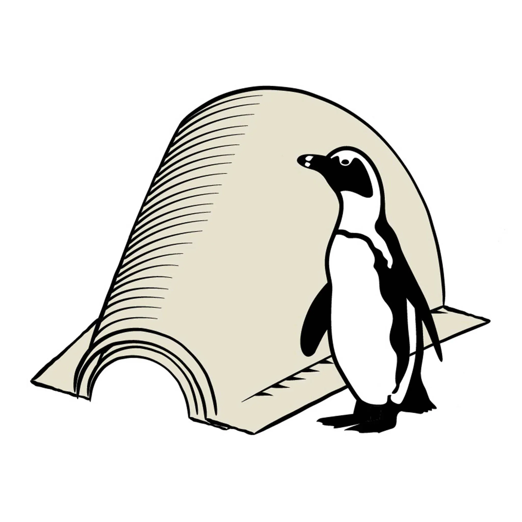 Sponsor A Penguin Nest - Saving Penguins!