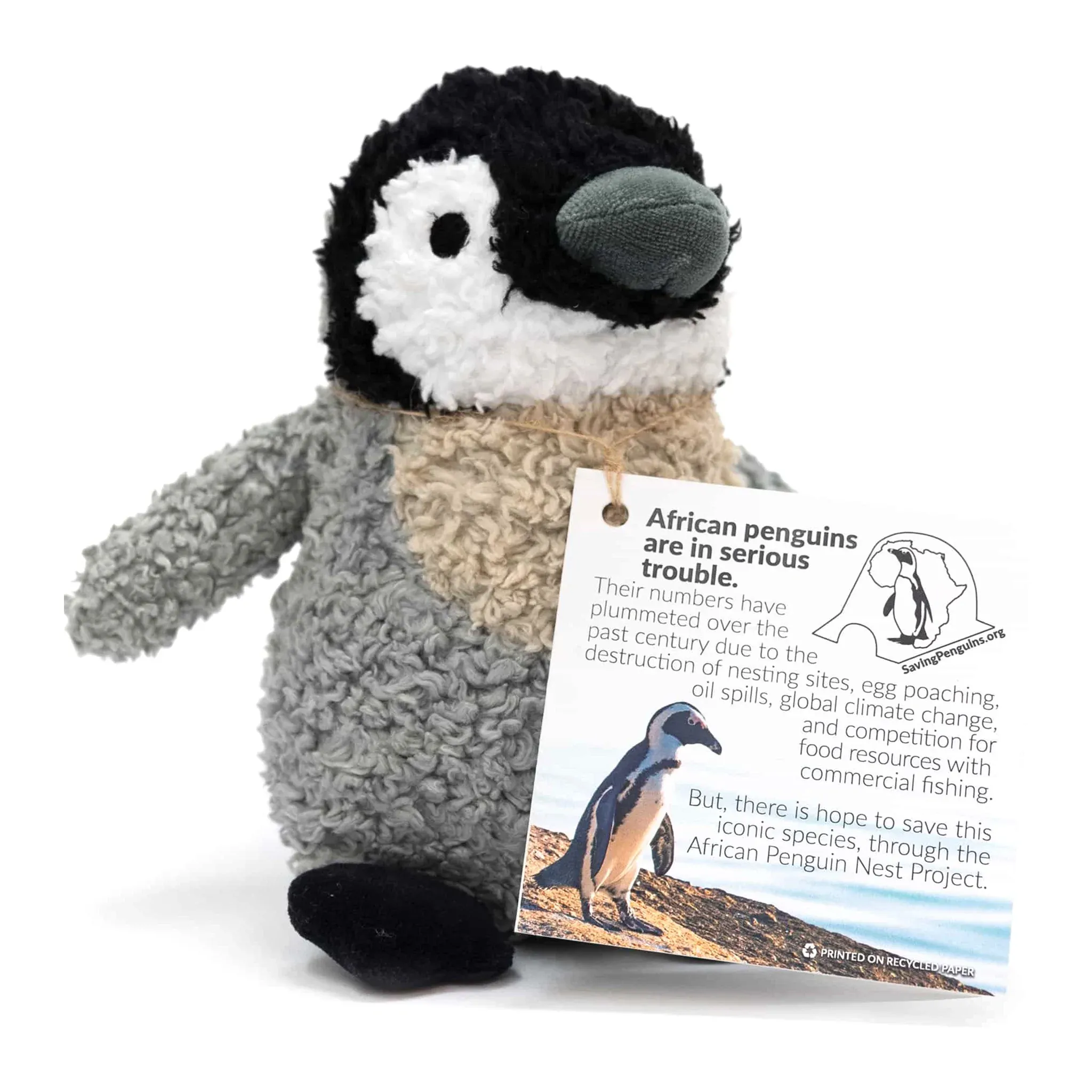 Penguin Chick Plush - Saving Penguins!